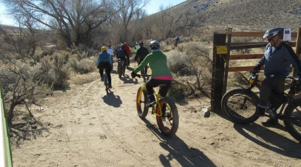 Bike counters: how do they work? - Eco-Counter