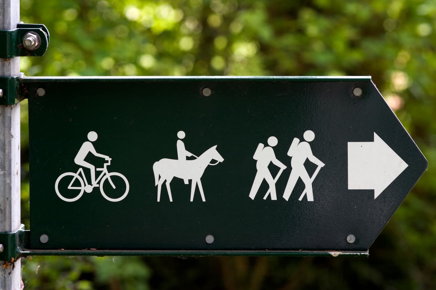 Why count bikes? Methods and benefits for communities