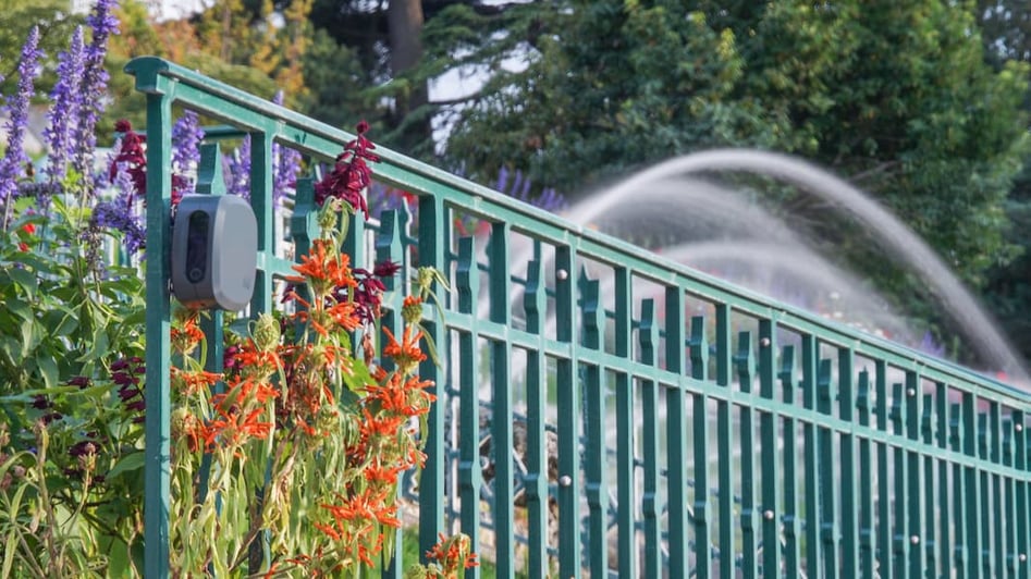 A Guide to Summer Counting: Part 1 - Prep Your Counters