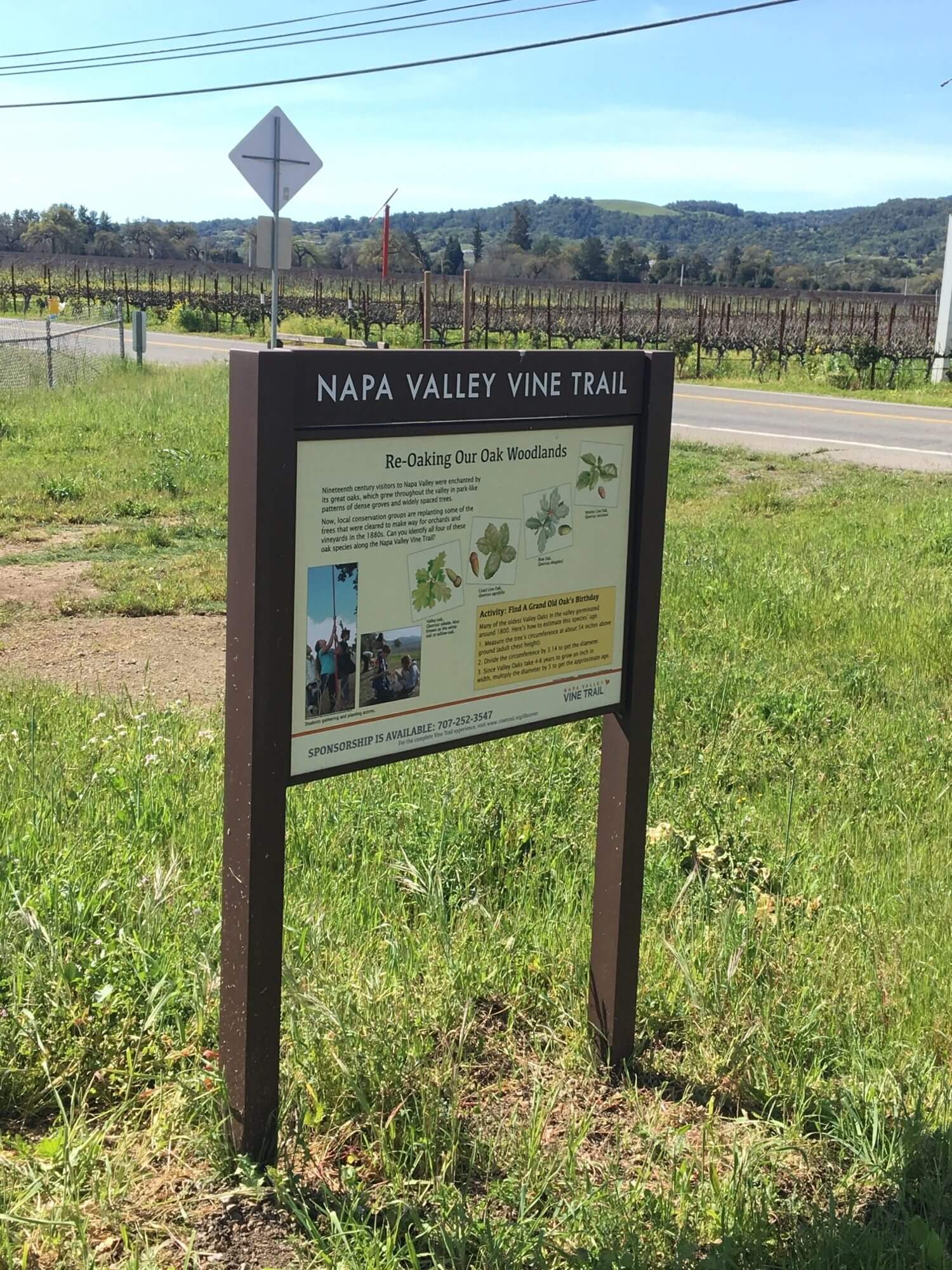 Trail focus: the Napa Valley Vine Trail - Eco-Counter